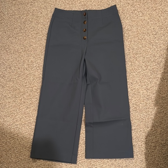 LOFT | Pants & Jumpsuits | Stylish Blue Buttonup Pants | Poshmark